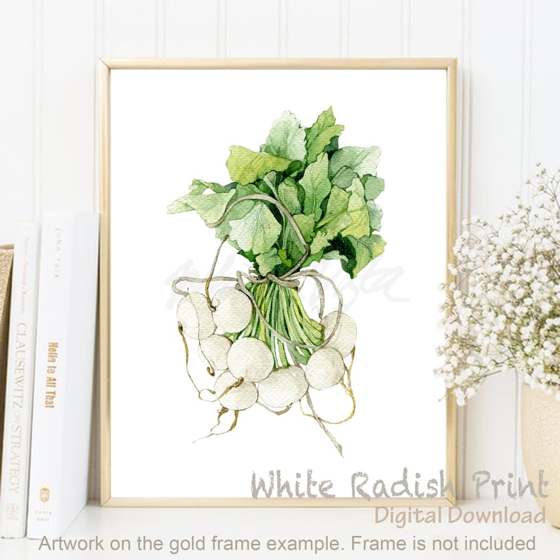 Vegetable Print kitchen Print White Radish Veggie Print | Etsy