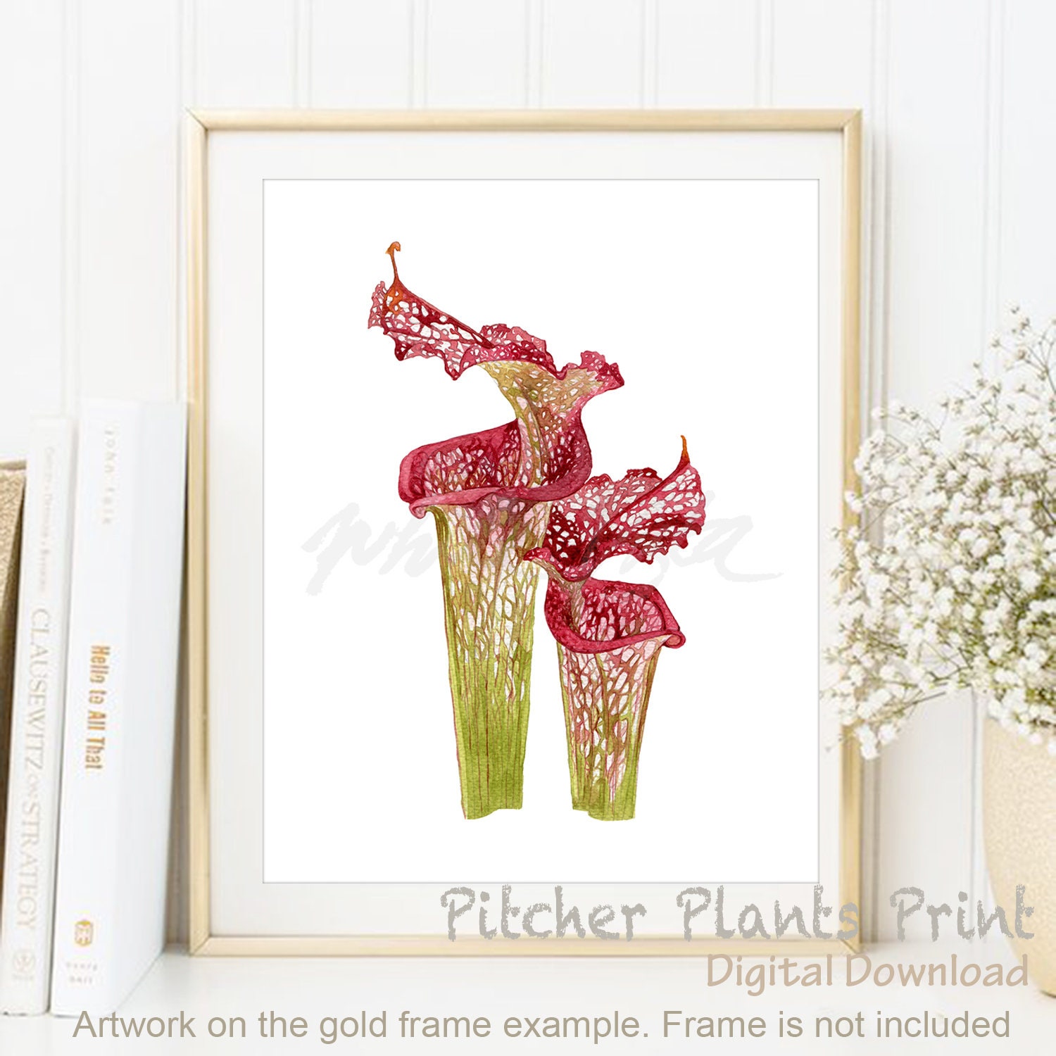 Pitcher Plant Botanical Watercolor Printable Botanical Canivous ...