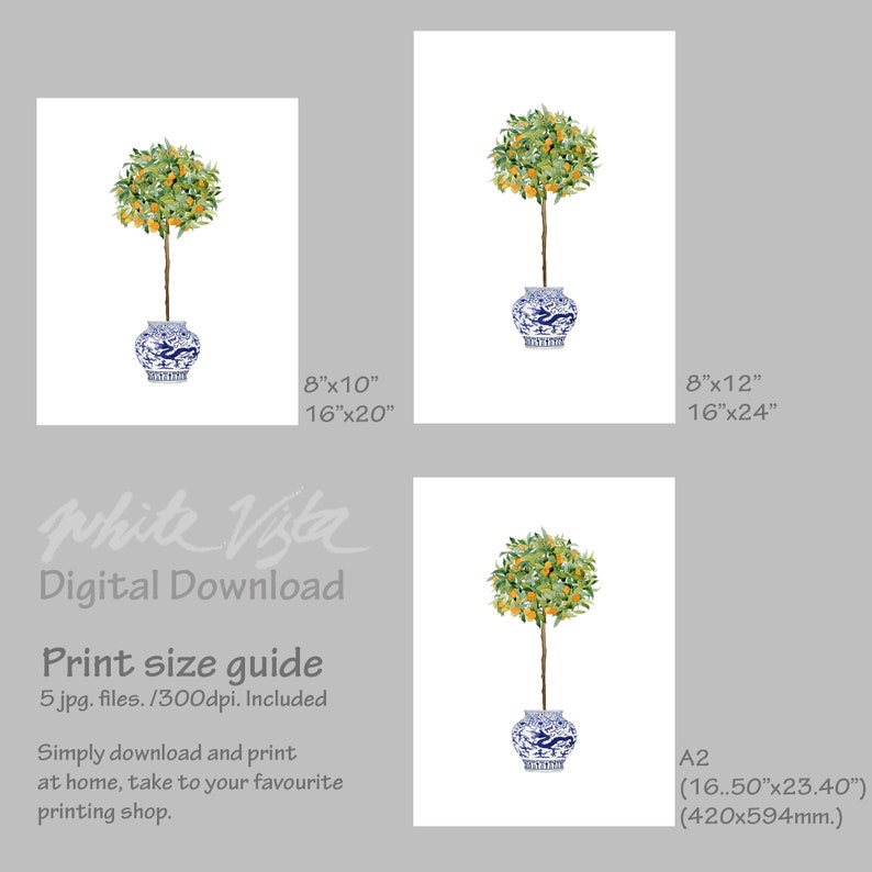 Topiary Tree Orange Topiaries Print Chinoiserie Bonsai - Etsy