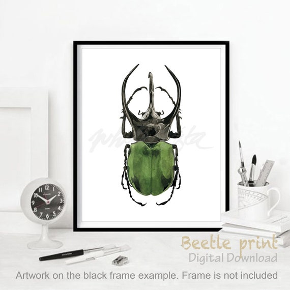 Art & Collectibles beetle print black background print Beetles wall art ...