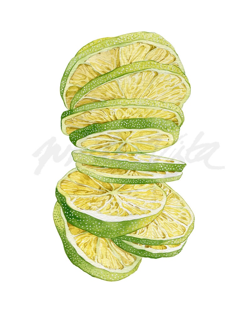 Lime Green Decor Art Print Lime Slide Watercolour Fruit Art - Etsy
