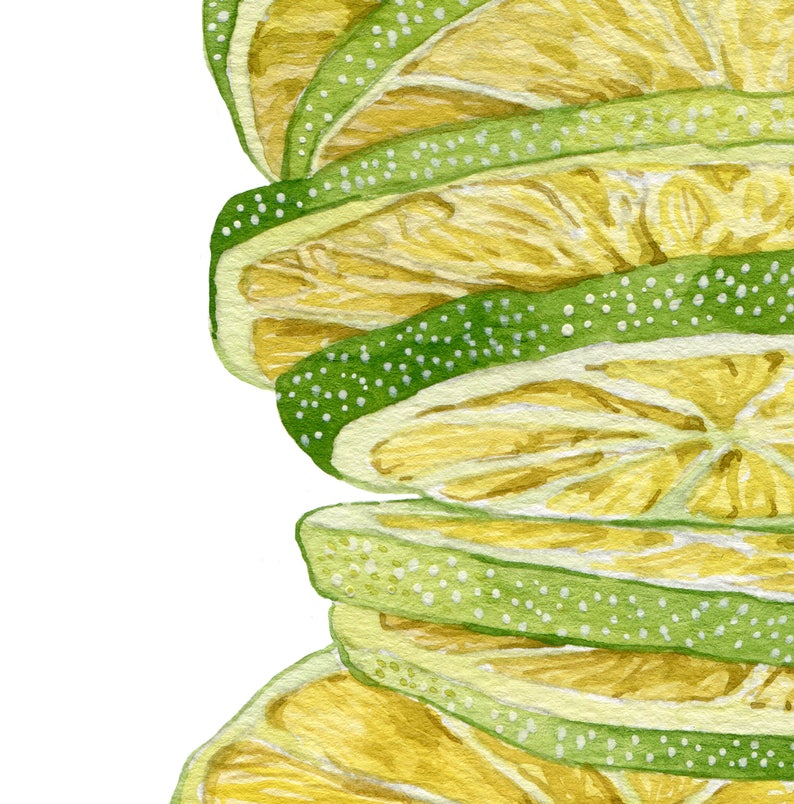 Lime Green Decor Art Print Lime Slide Watercolour Fruit Art - Etsy