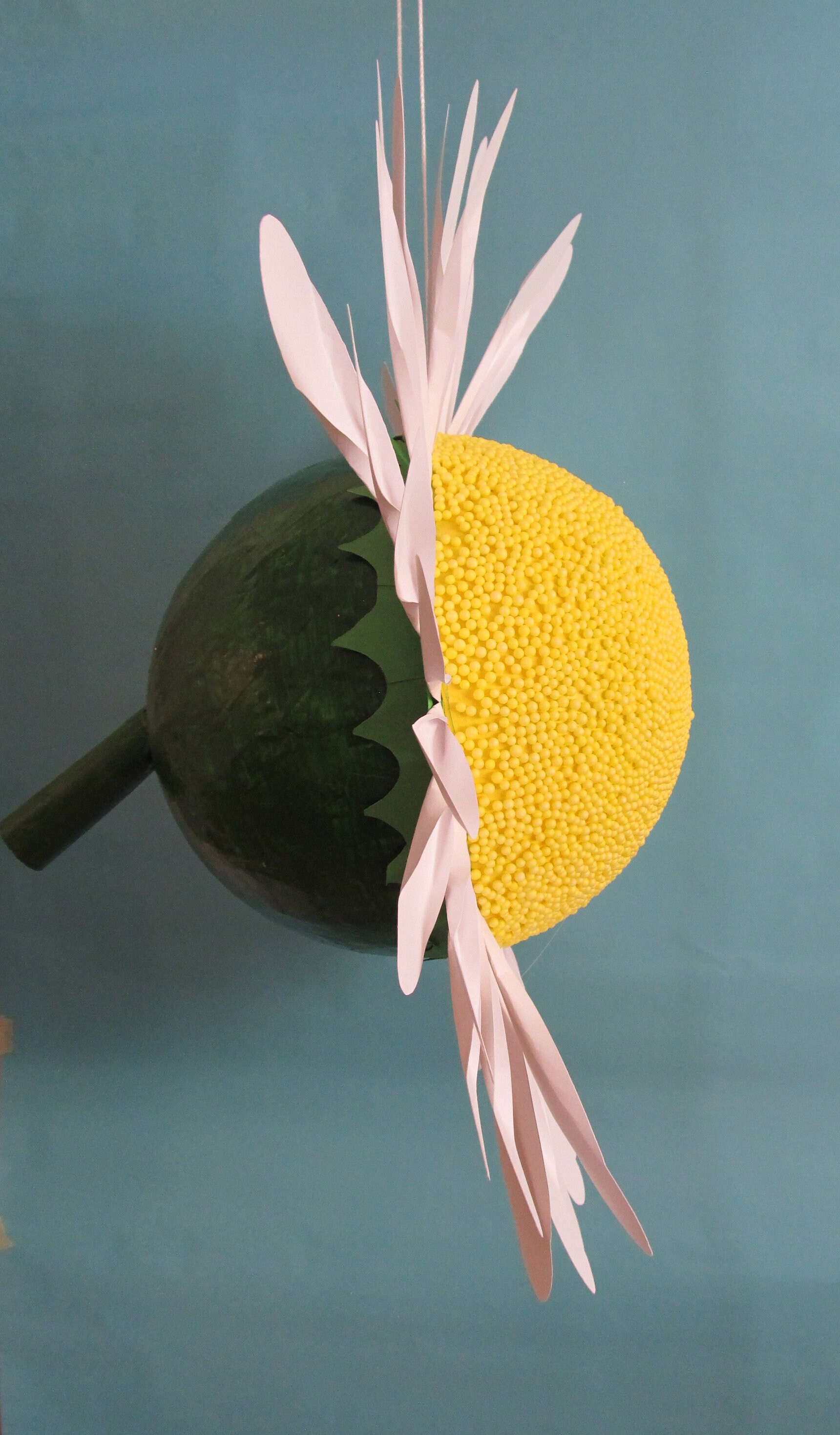 DAISY Pinata, Flower Birthday, Nature, Baby Shower, Gender Reveal ...