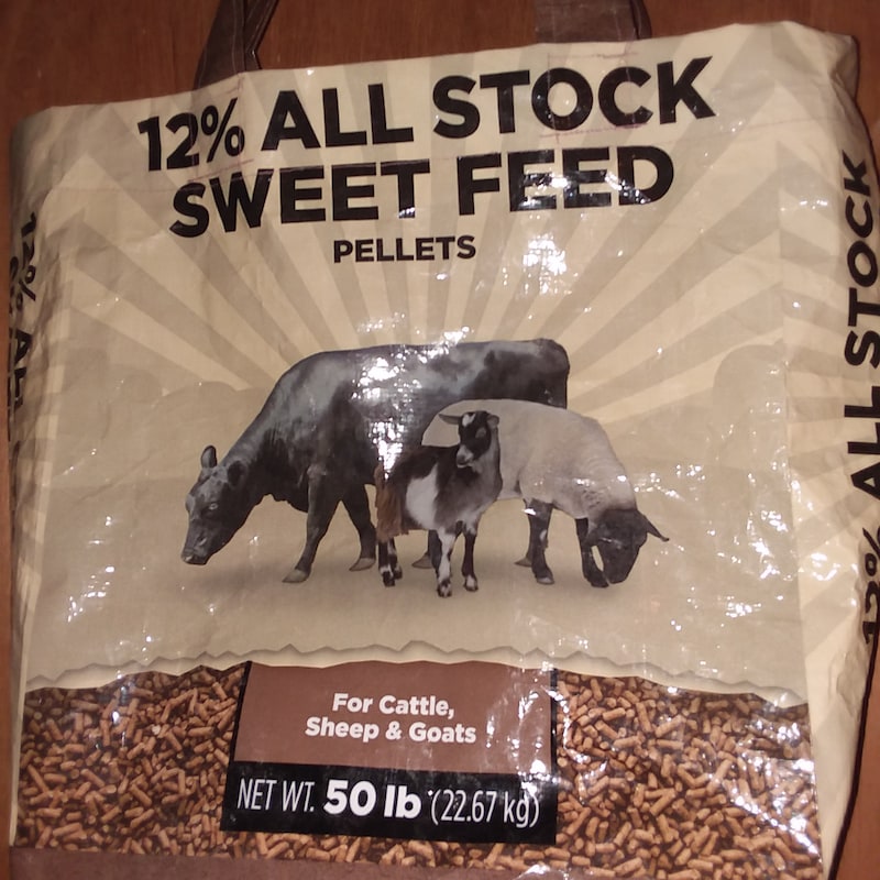 Horse Tote Feed Bag - Etsy