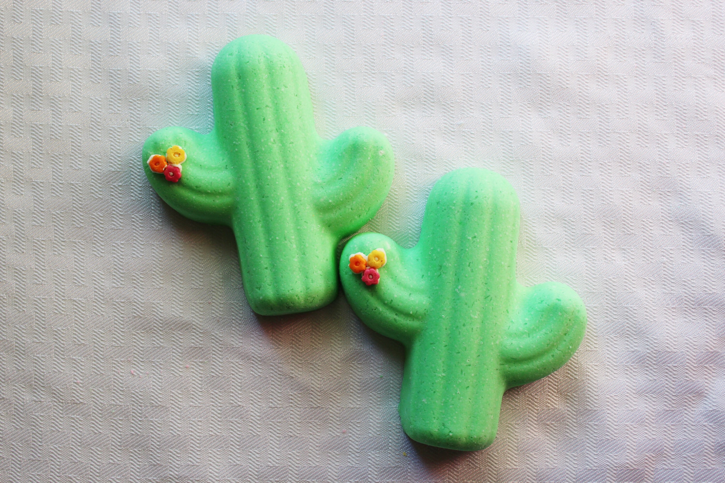 Dont Be a Prick Cactus Bath Bomb // Bath Fizzy // Cactus // - Etsy