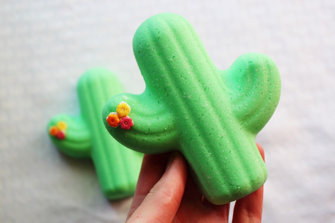 Dont Be a Prick Cactus Bath Bomb // Bath Fizzy // Cactus // Cactus ...