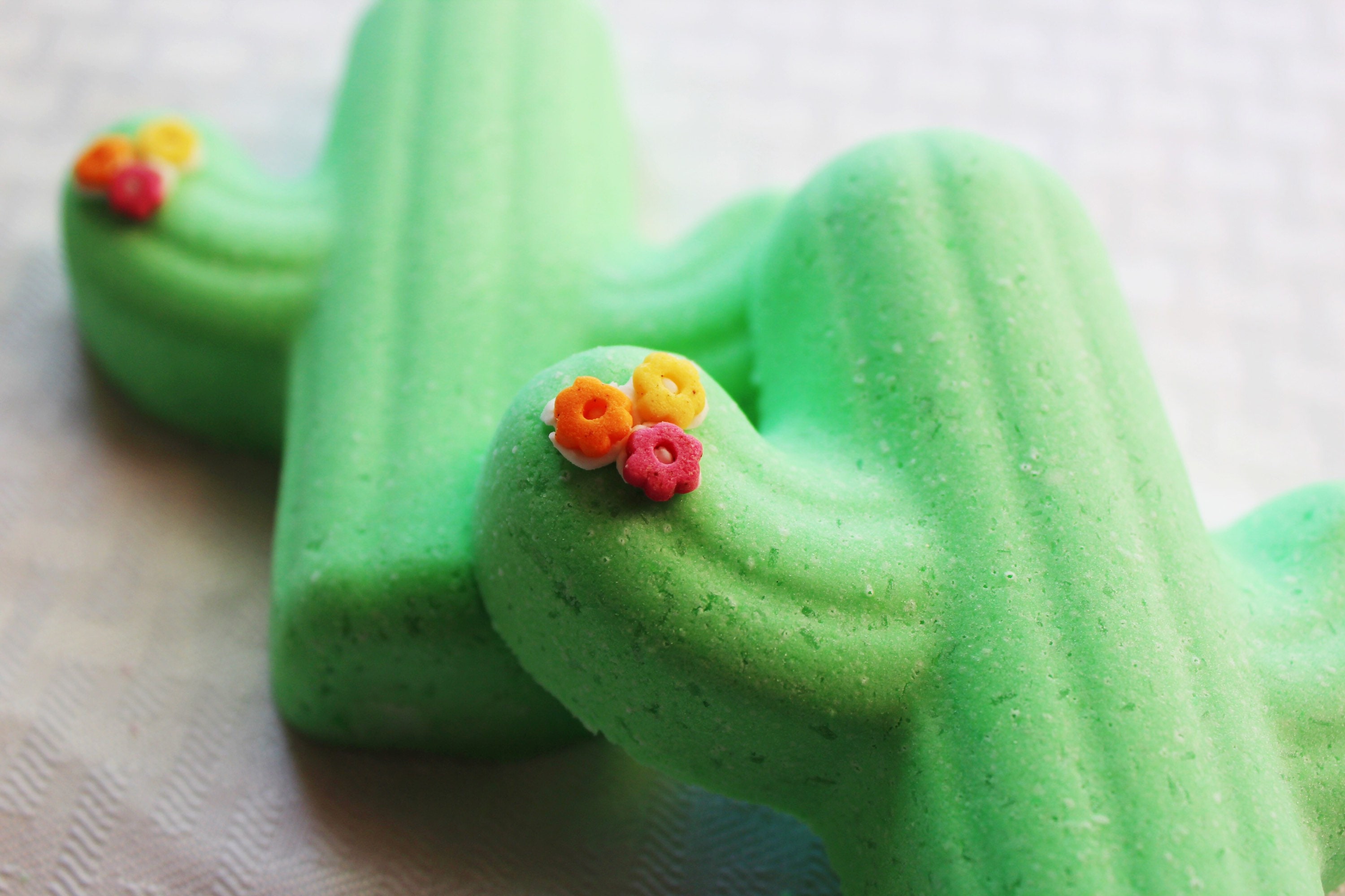 Dont Be a Prick Cactus Bath Bomb // Bath Fizzy // Cactus // - Etsy