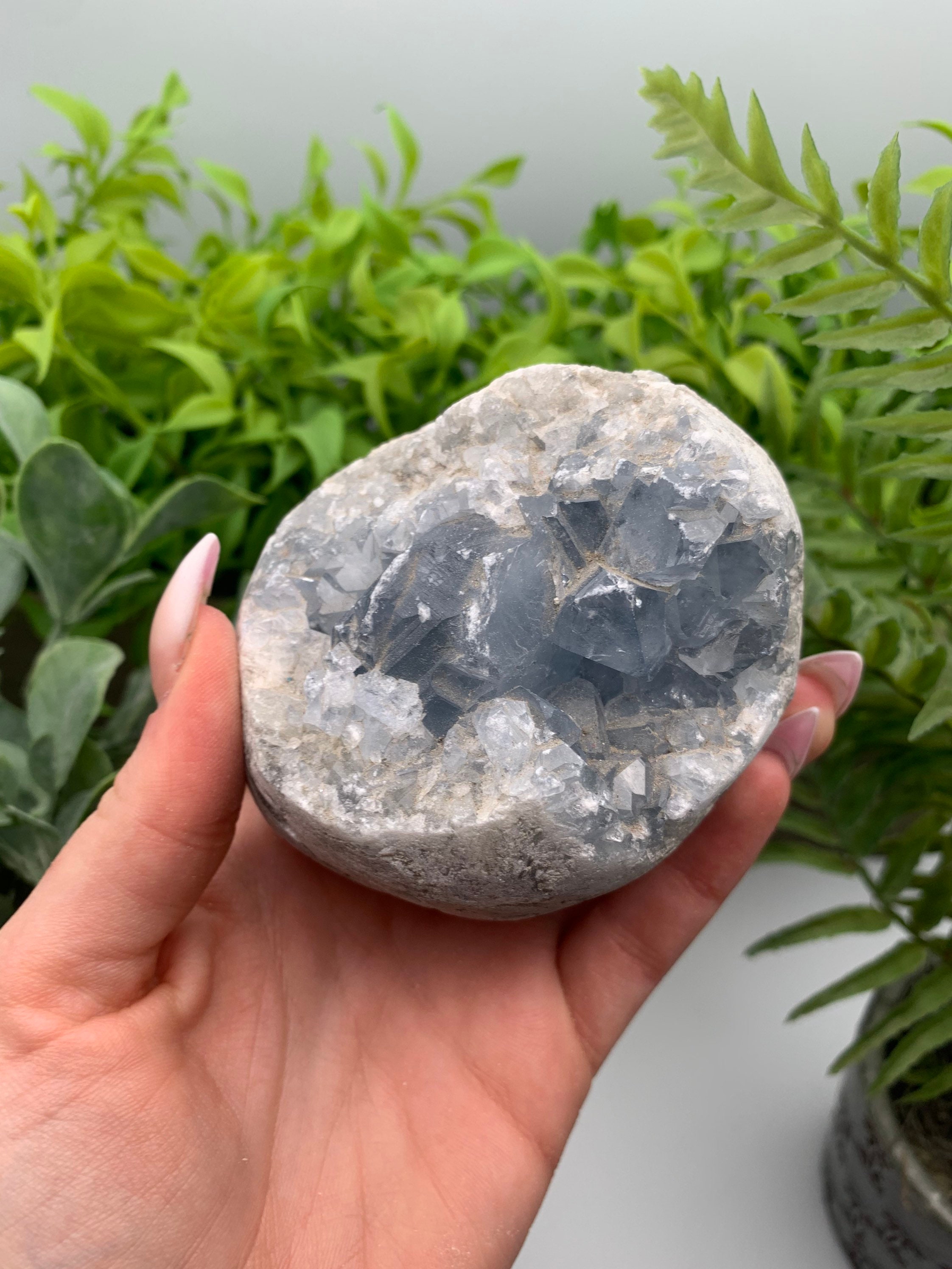 Large Celestite Celestine Blue Calcite Geode Cluster Qty: 1 | Etsy