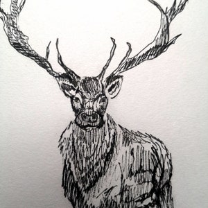 New Hand Drawn Black and White Original Stag Picture - Etsy UK