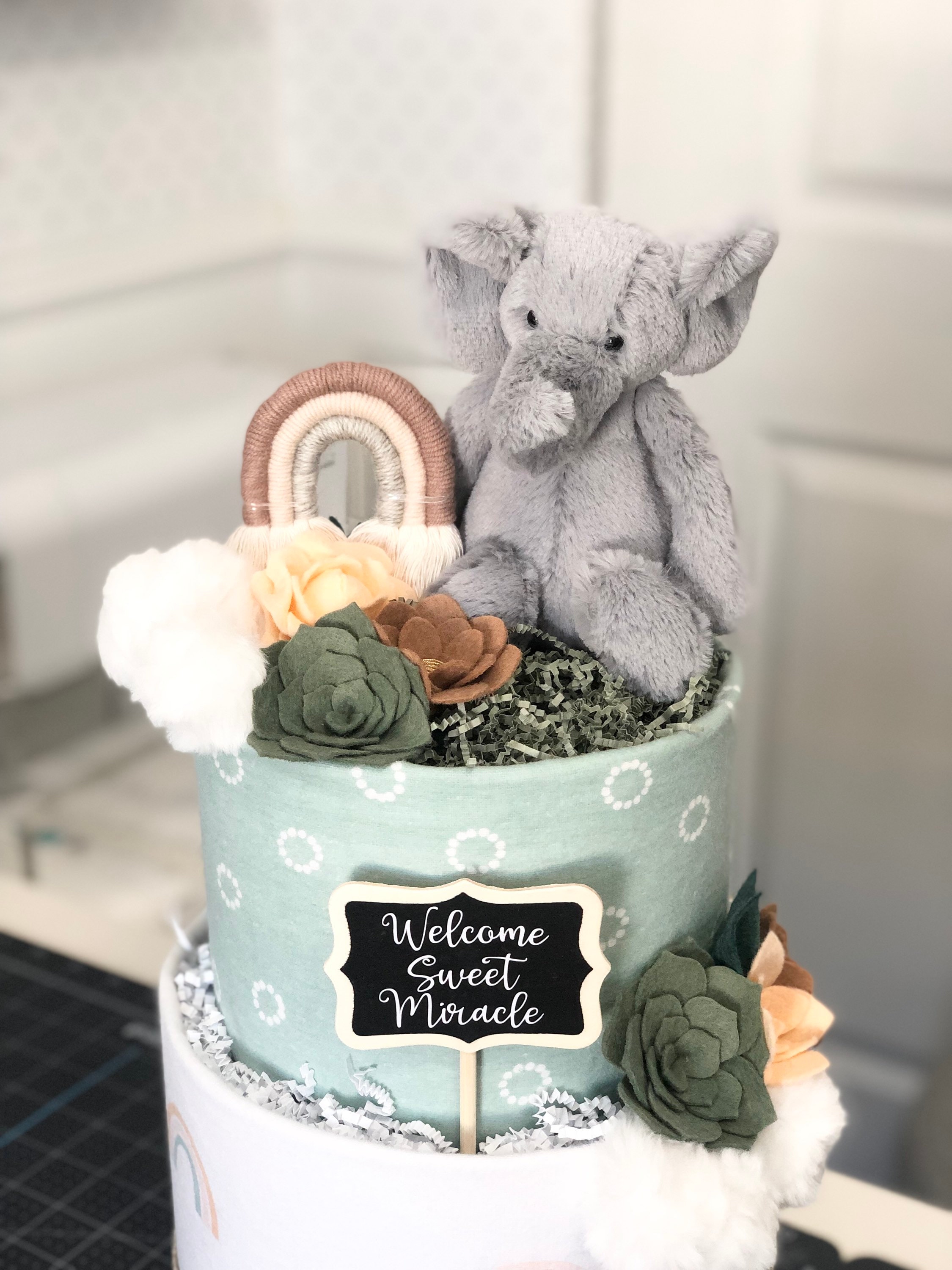 Gender Neutral Rainbows and Succulents in Clouds “sweet Miracle” Diaper ...