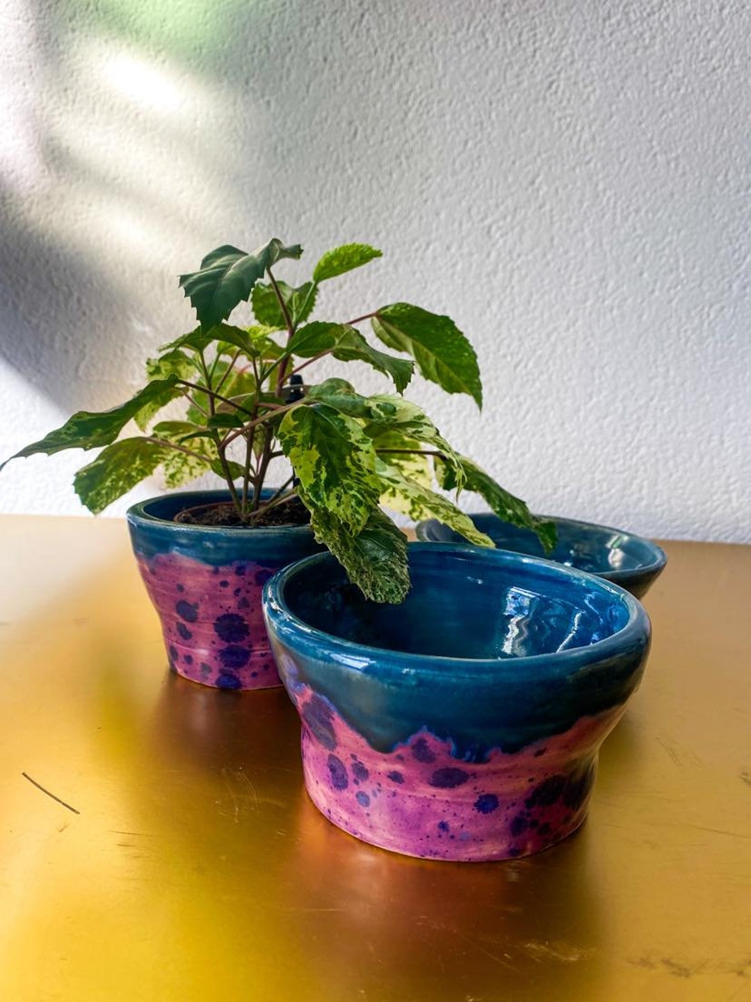 Pots, Plant Pots, Food Dishes - Etsy