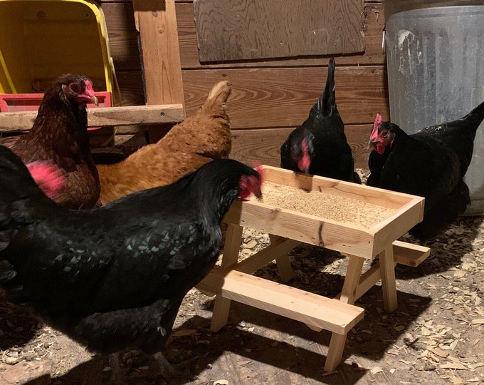 Chicknic Picnic Table for Chickens - Etsy