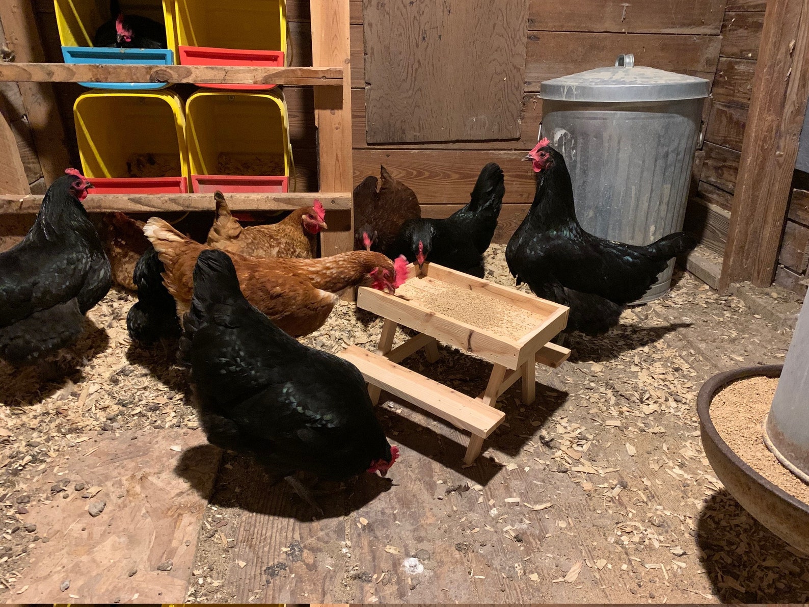 Chicknic Picnic Table for Chickens | Etsy