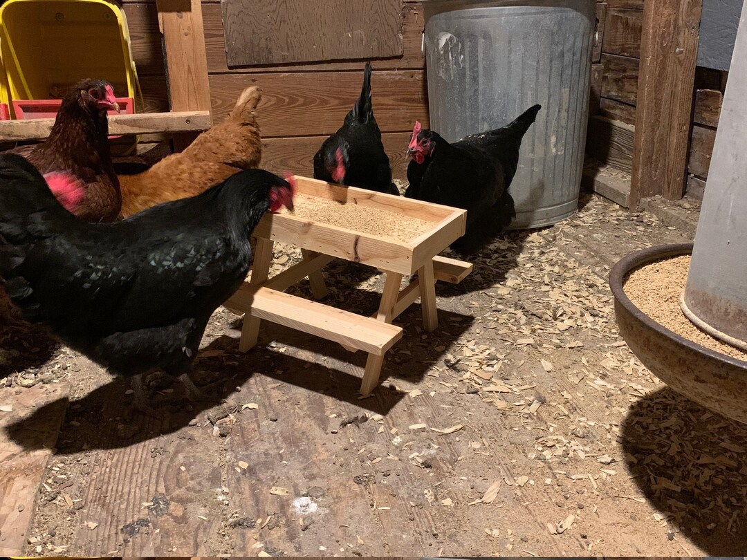 Chicknic Picnic Table for Chickens - Etsy