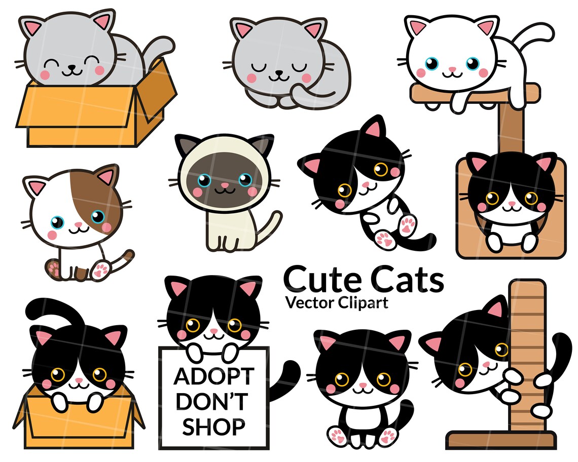 Kittens and Cats Clipart Kitten Clipart Cute Cats Clipart - Etsy