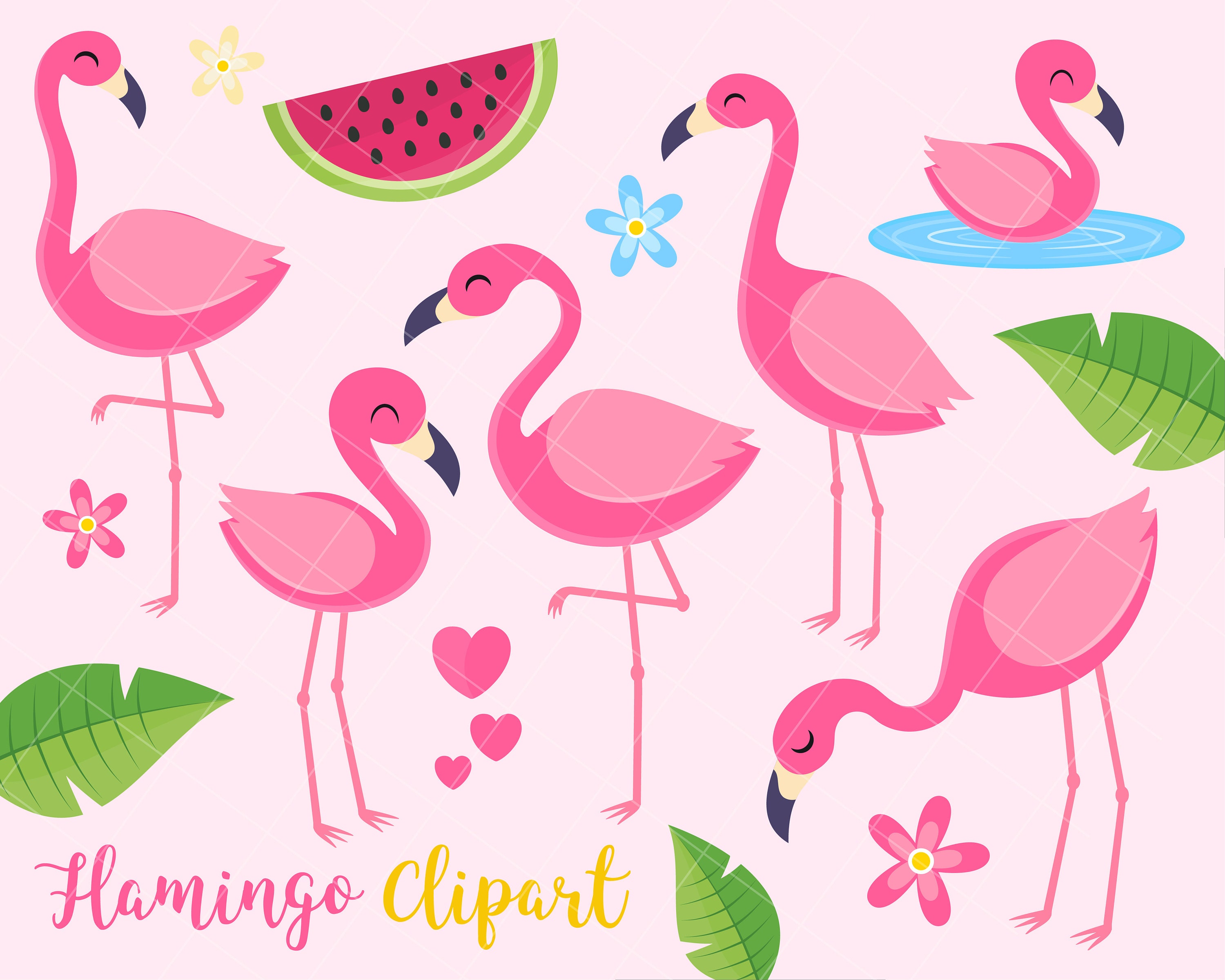 Flamingo Clipart Tropical Summer Clipart Birds Tropical | Etsy