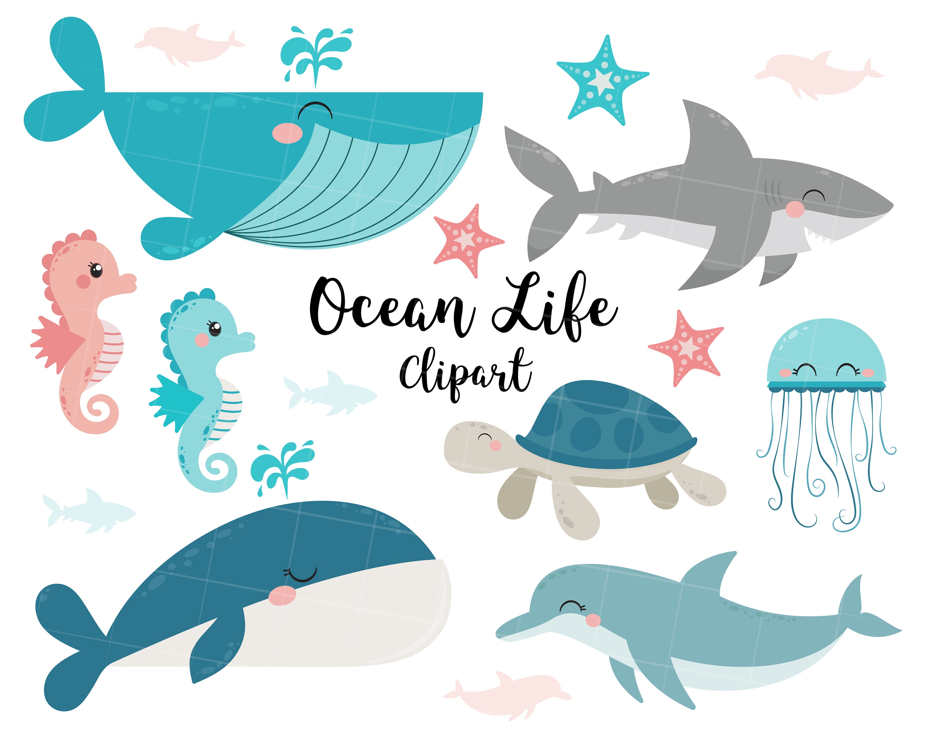 Ocean Life Clipart Shark Whale Jellyfish Dolphin Sea | Etsy