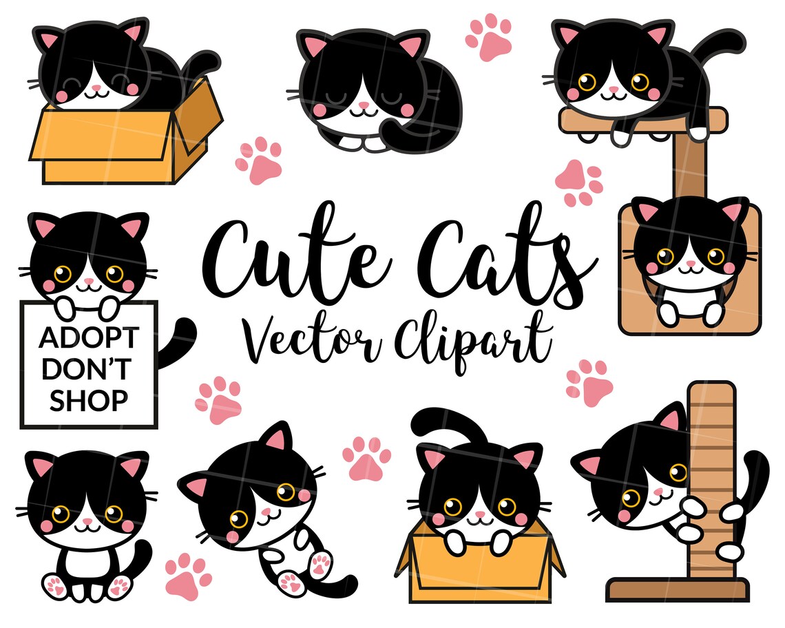 Kittens and Cats Clipart Kitten Clipart Cute Cats Clipart | Etsy