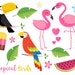 Tropical Summer Clipart, Toucan, Birds, Flamingo, Parrot, Tropical ...