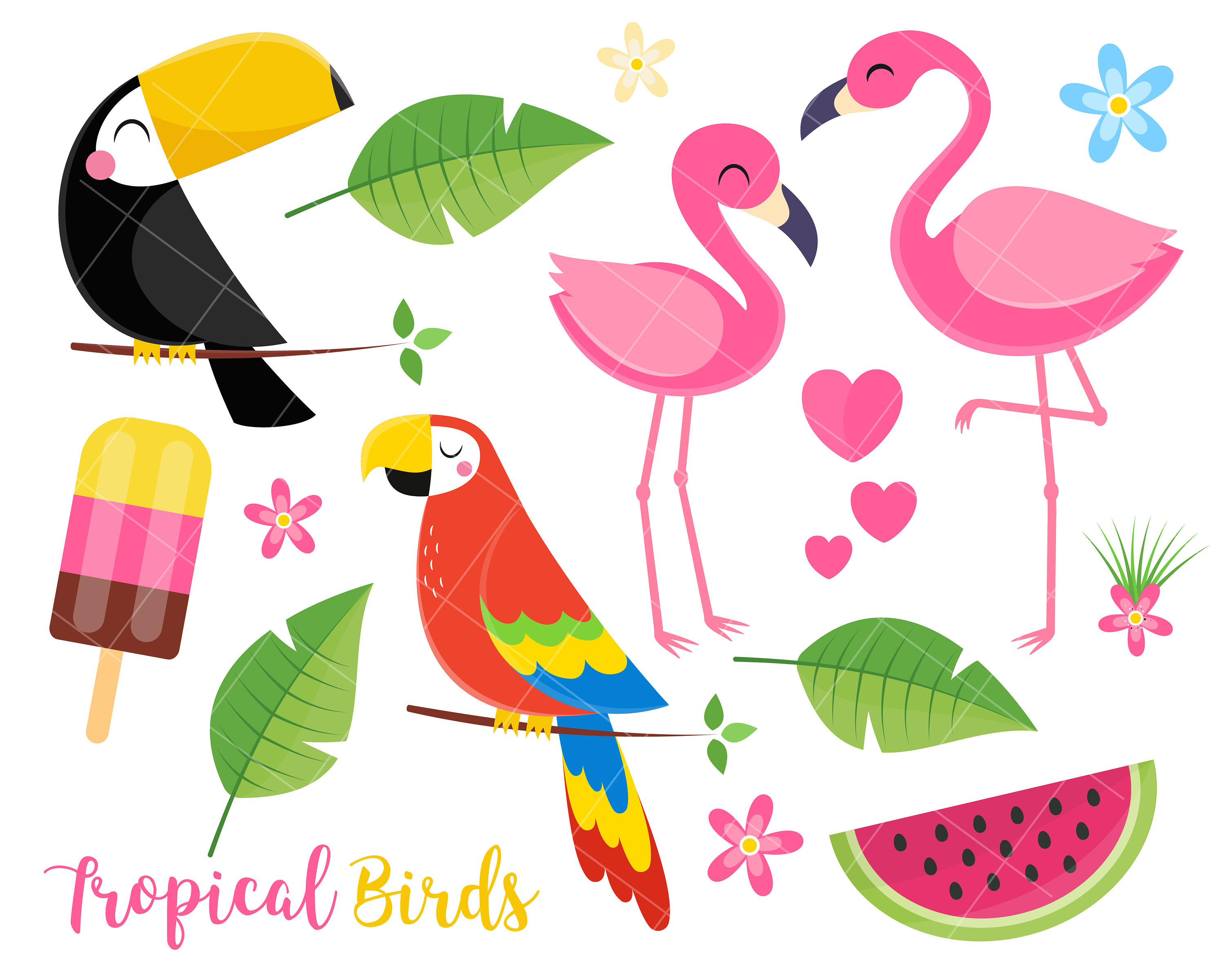 Tropical Summer Clipart Toucan Birds Flamingo Parrot | Etsy