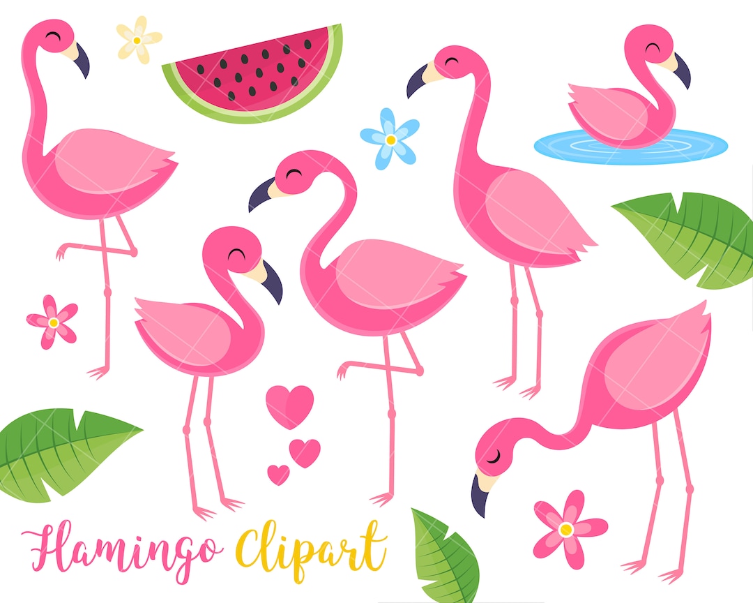 Flamingo Clipart, Tropical Summer Clipart, Birds, Tropical Plants, Palm ...