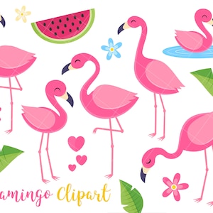 Flamingo Clipart, Tropical Summer Clipart, Birds, Tropical Plants, Palm ...