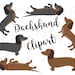 Dachshund Clipart, Dachshund Clip Art, Dog Clipart, Puppy Clipart, Cute ...