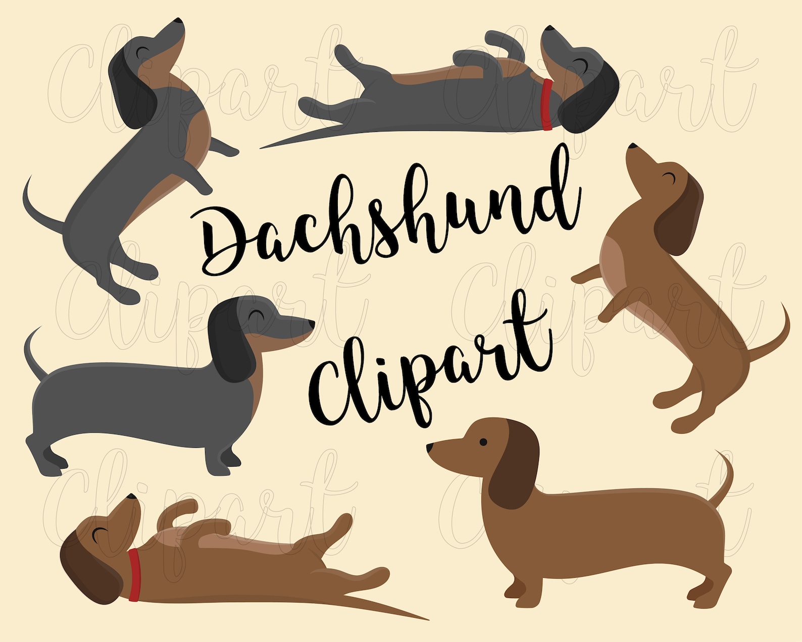 Dachshund Clipart Dachshund Clip Art Dog Clipart Puppy - Etsy UK
