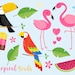 Tropical Summer Clipart, Toucan, Birds, Flamingo, Parrot, Tropical ...