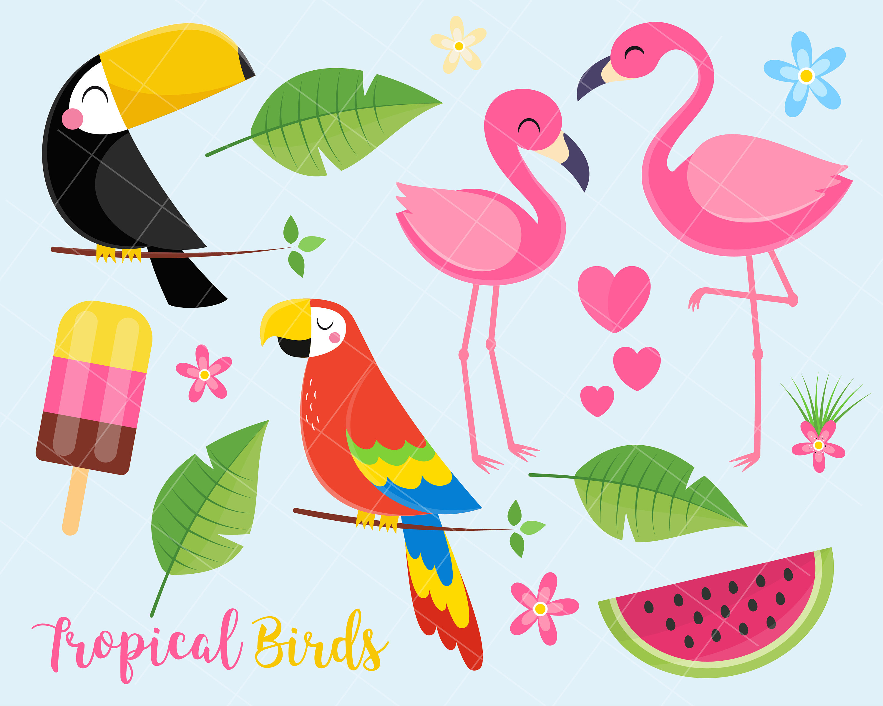 Tropical Summer Clipart Toucan Birds Flamingo Parrot | Etsy