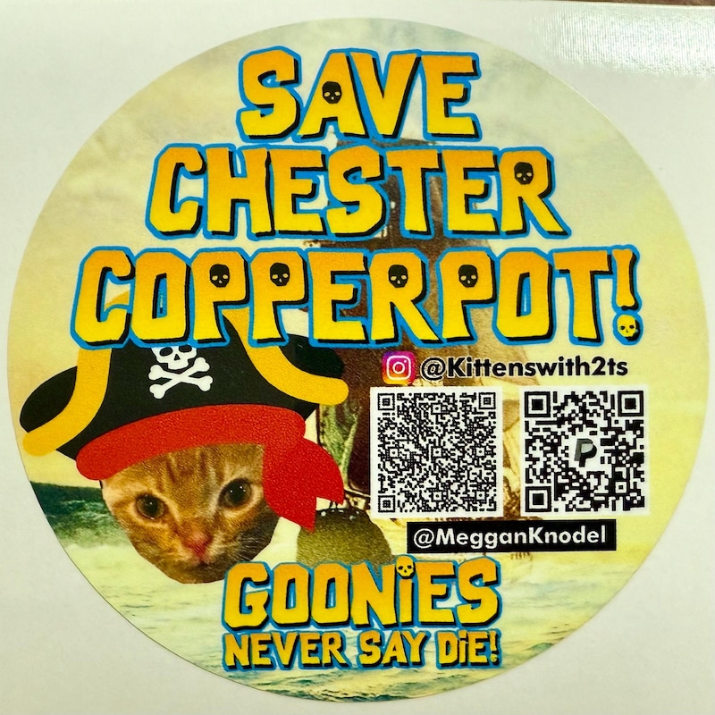 Goonies Decal - Etsy