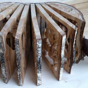 Sculpt Log-book - Etsy