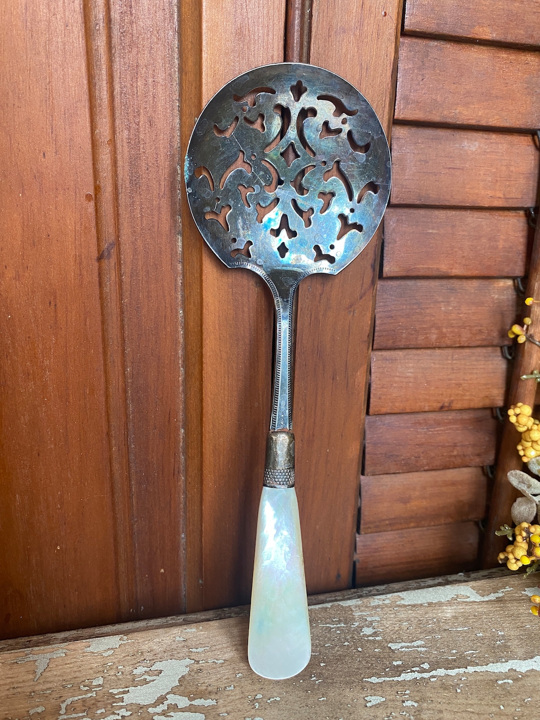 Vintage Mother of Pearl Tomato Spoon - Etsy