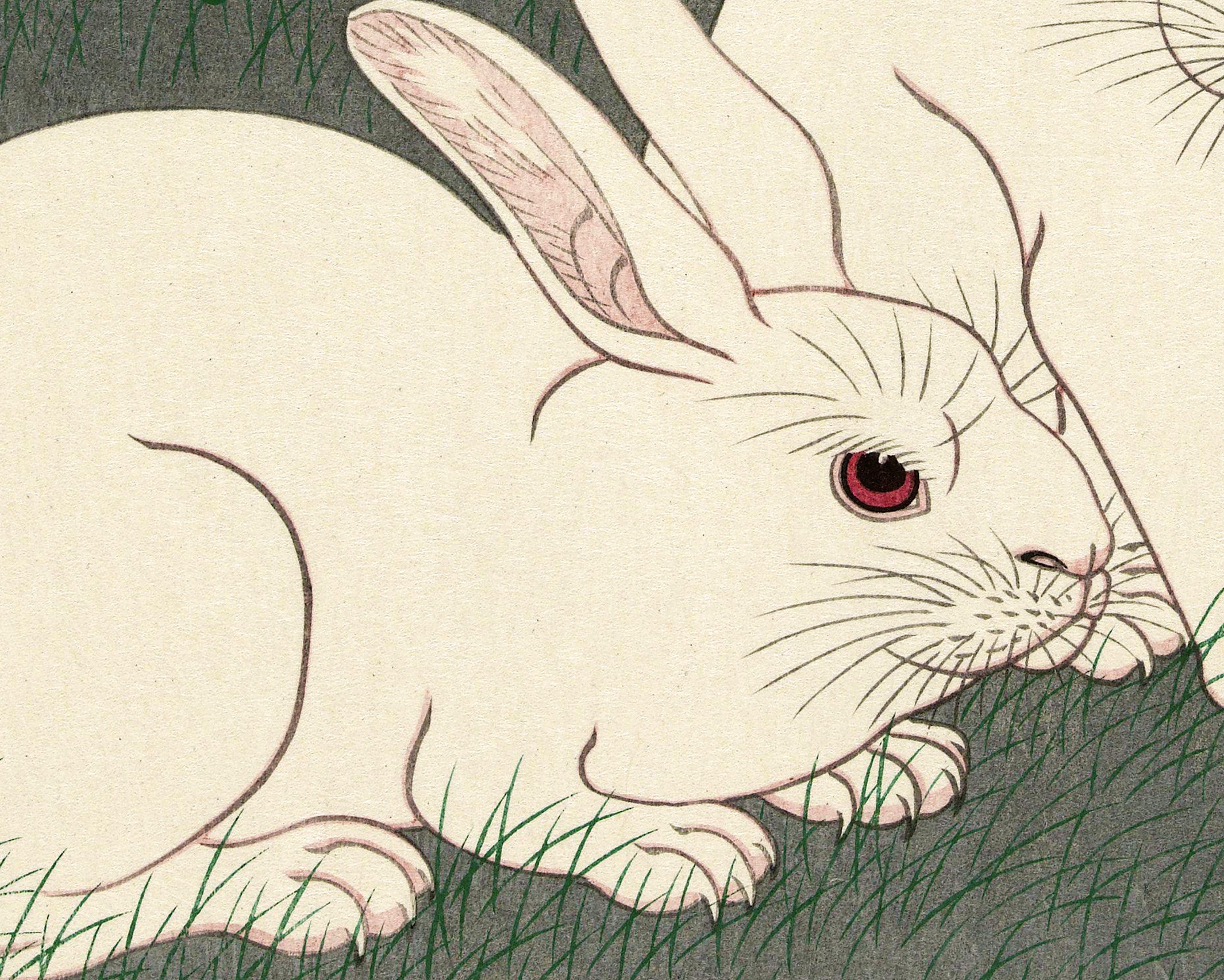 Vintage Rabbit Fine Art Rabbits at Full Moon Color - Etsy