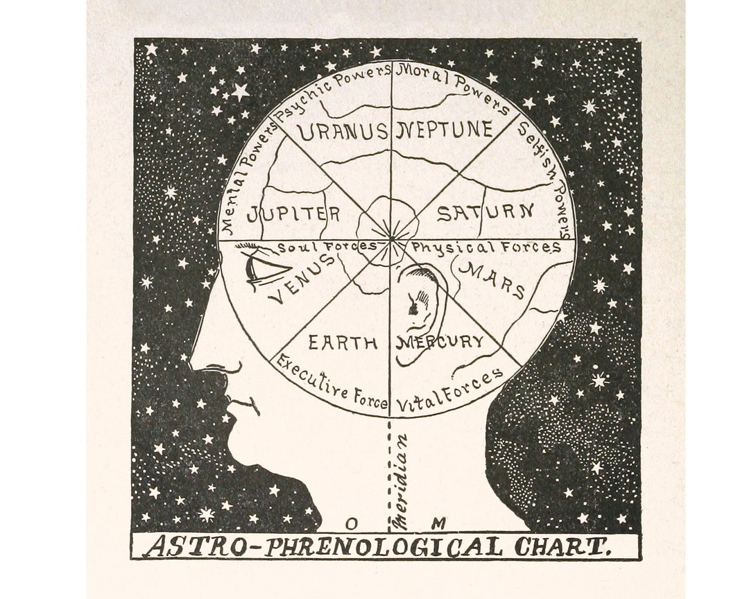 Vintage Astrology Head Chart | Astro-phrenology Art | Retro Human Head ...