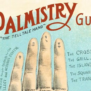 Vintage Palmistry Art | the Telltale Hand | Palm Reading | Retro Human ...