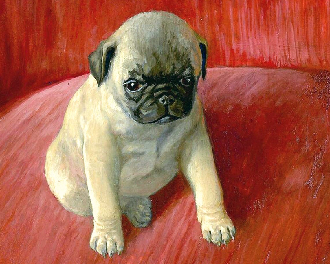 Dog on a Red Chair | Siegfried | Animal Wall Art | German Artist ...