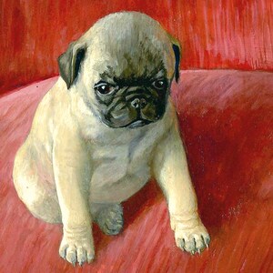 Dog on a Red Chair | Siegfried | Animal Wall Art | German Artist ...