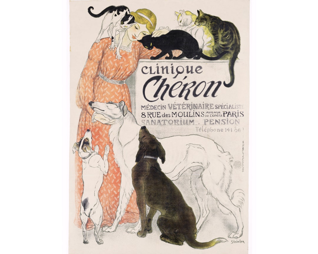 French Vintage Vet Ad Giclée Fine Art Print Clinique - Etsy