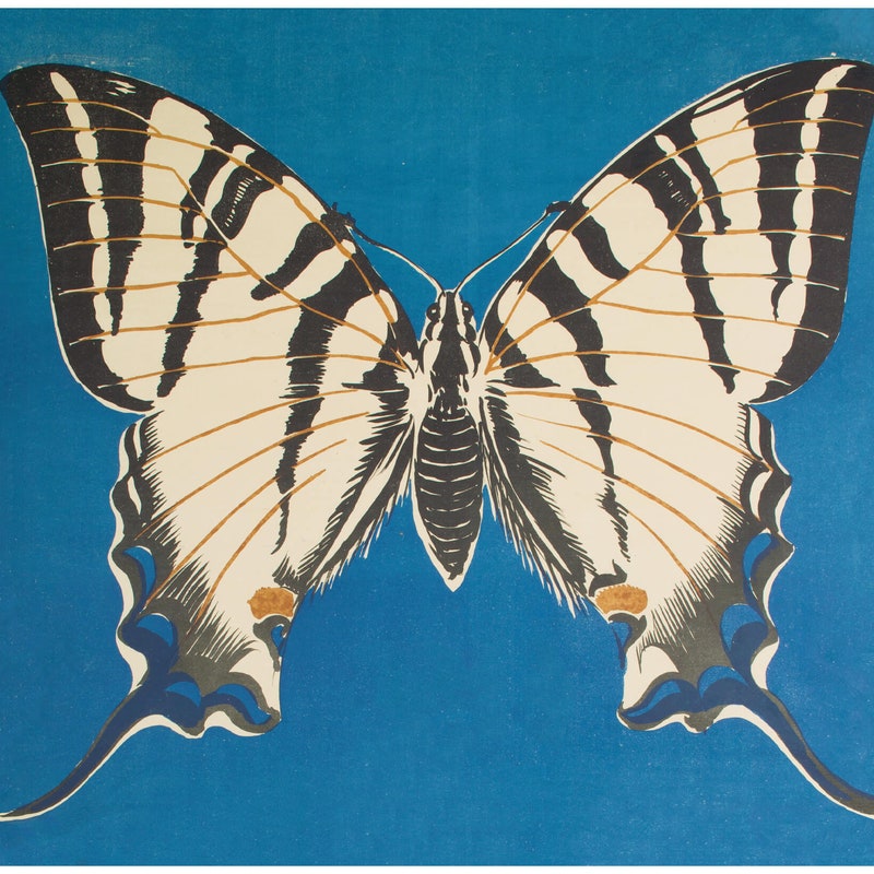 Art Deco Butterfly - Etsy