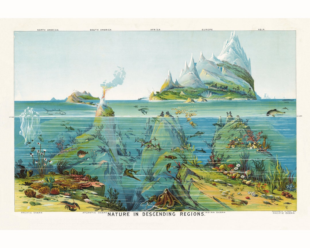 Colorful Infographic for a Water Lover | Vintage Geology Print | Nature ...