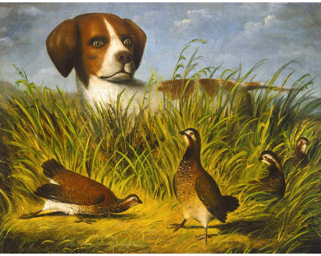 Vintage Bird Dog Portrait | English Pointer Dog Painting | Hunting Dog ...