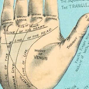 Vintage Palmistry Art | the Telltale Hand | Palm Reading | Retro Human ...