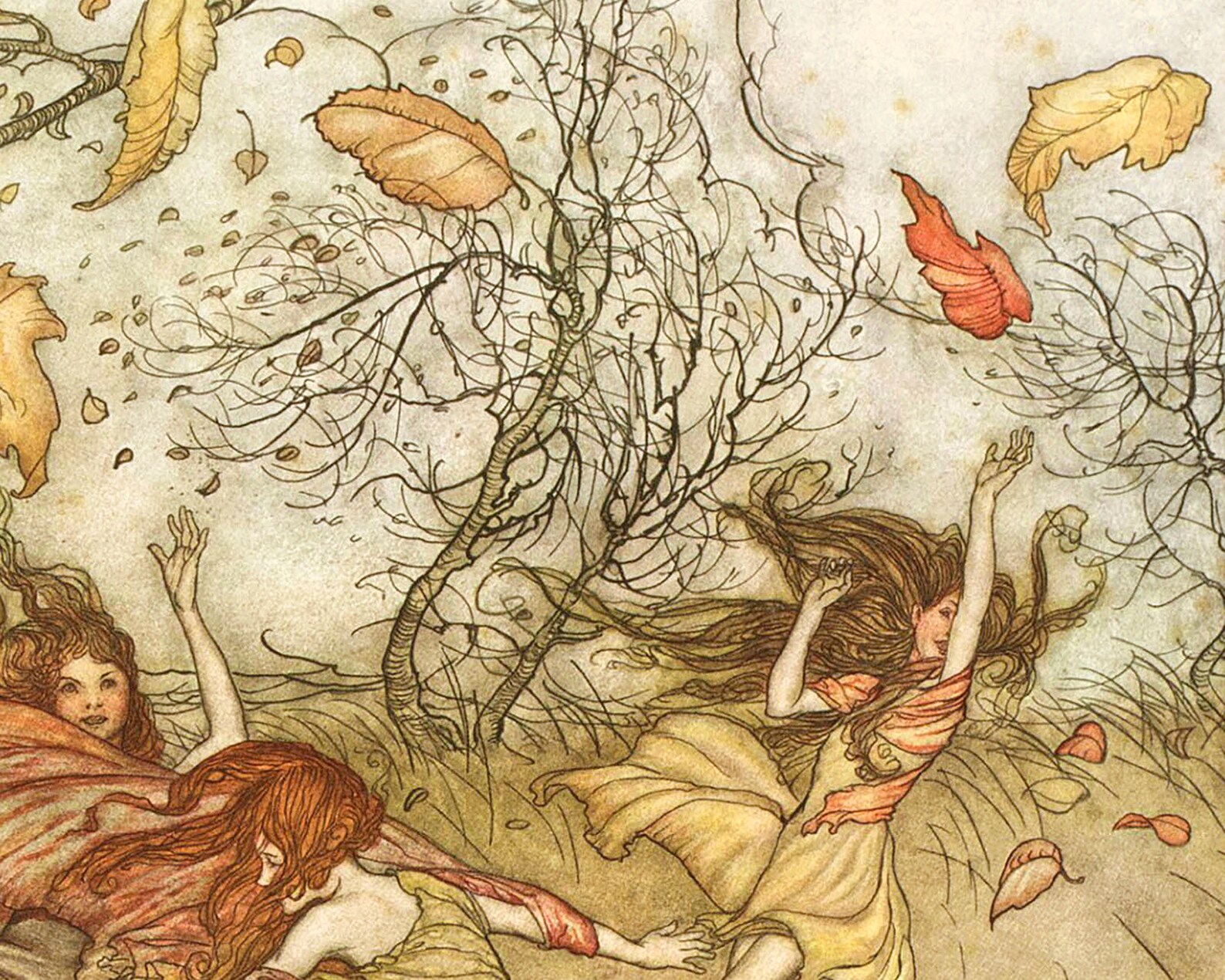 Fall Fairies Art Print | Arthur Rackham Illustration | Vintage Woodland ...