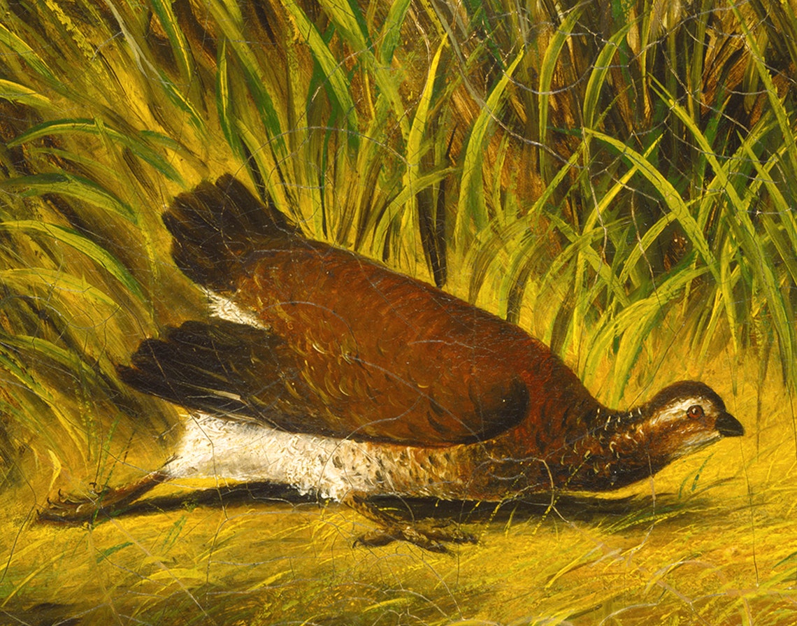 Vintage bird dog portrait English pointer dog painting | Etsy