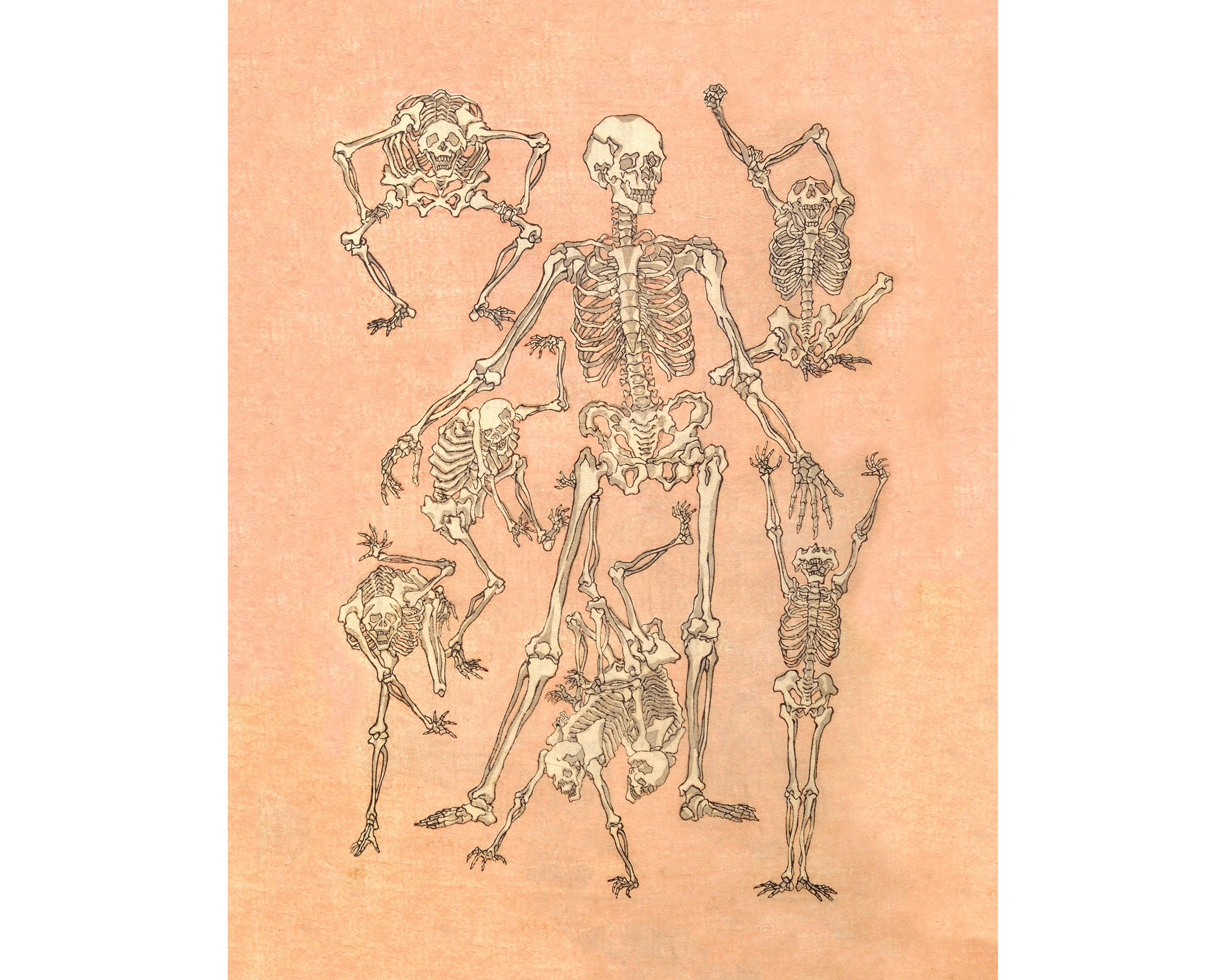 Vintage Skeleton Art Kawanabe Kyosai Sketch 19th Century - Etsy