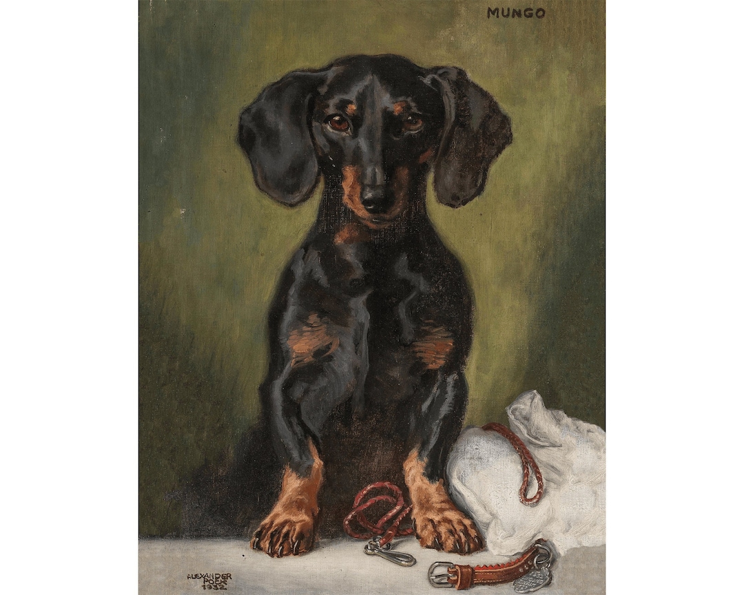 Vintage Weiner Dog Art | Mungo | 20th Century Animal Wall Art | Antique ...