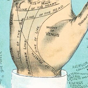 Vintage Palmistry Art | the Telltale Hand | Palm Reading | Retro Human ...