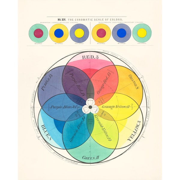Color Wheel Print - Etsy