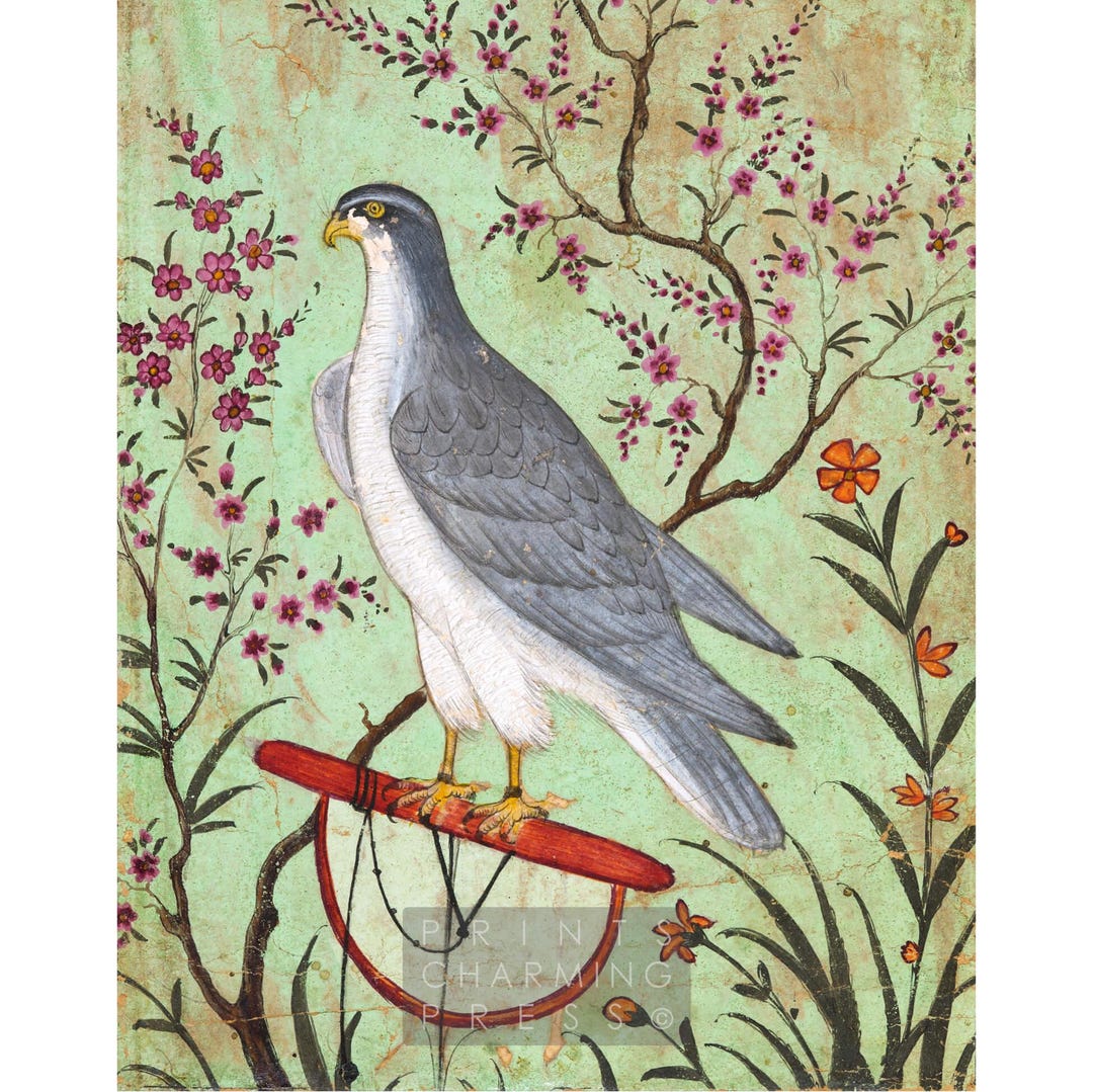 Vintage Falcon Art Print: Indian Bird on Malachite - Etsy